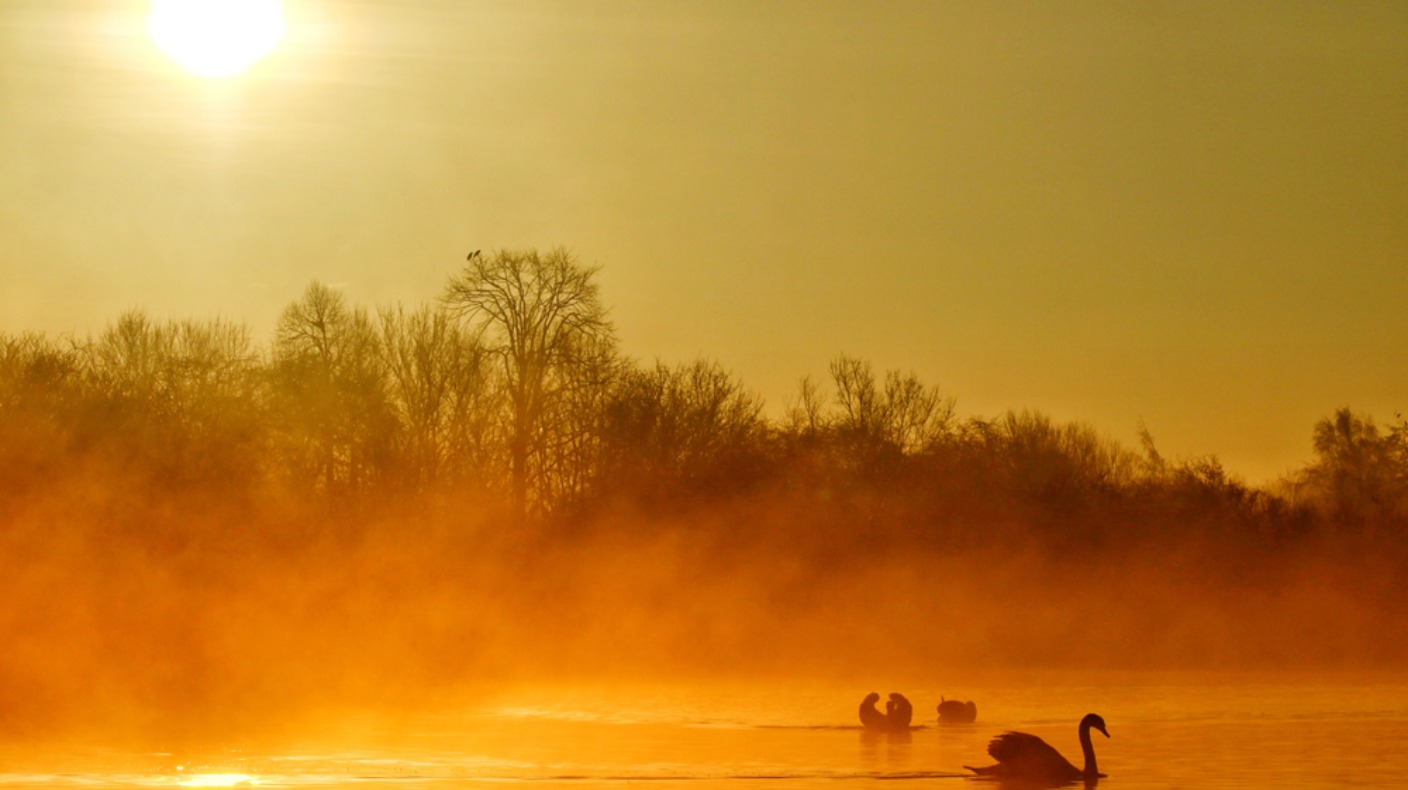 Anglia Weather: A foggy and murky start slowly clearing to warm sunny ...