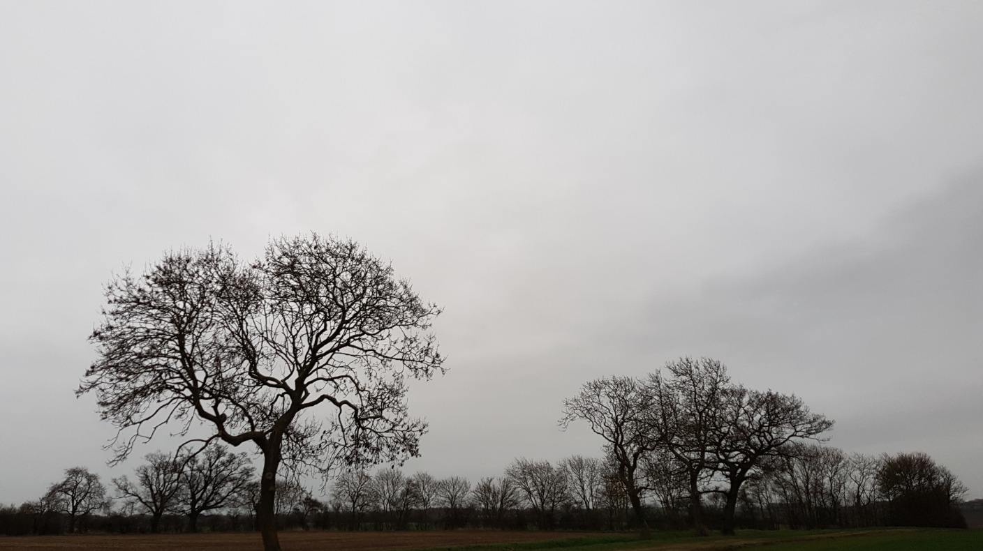 Anglia Weather: dry but very windy | ITV News Anglia