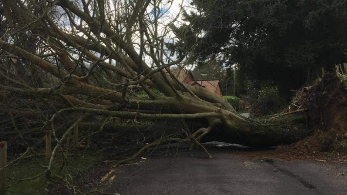 Large tree blocks road in Surrey after high winds | ITV News Meridian