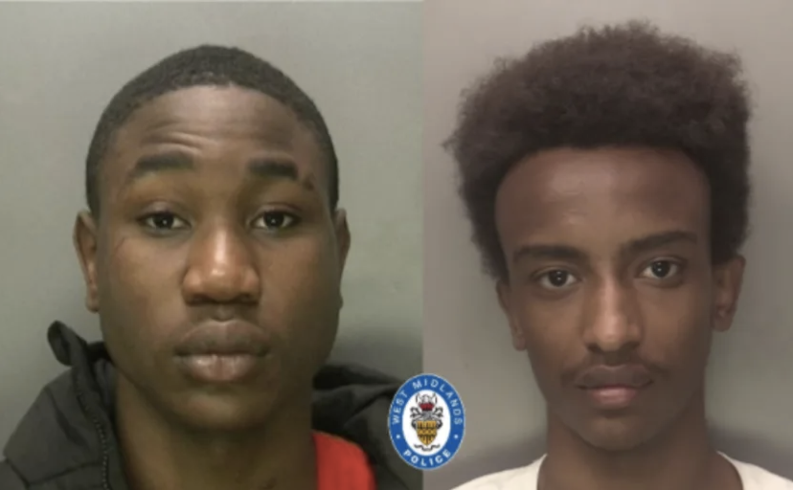 Two gang members who murdered teenager with machete are jailed for life ...