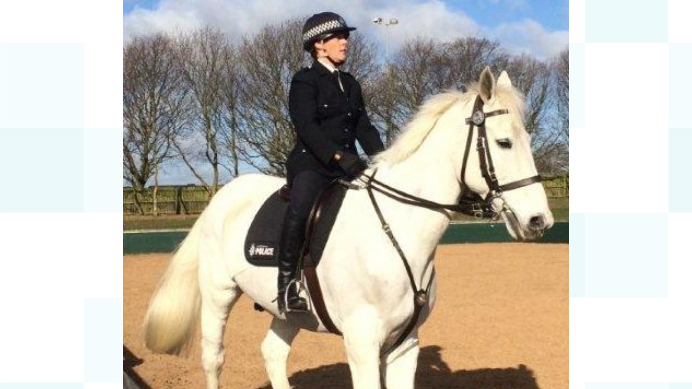 South Yorkshire Police's longest serving horse retires after more than ...