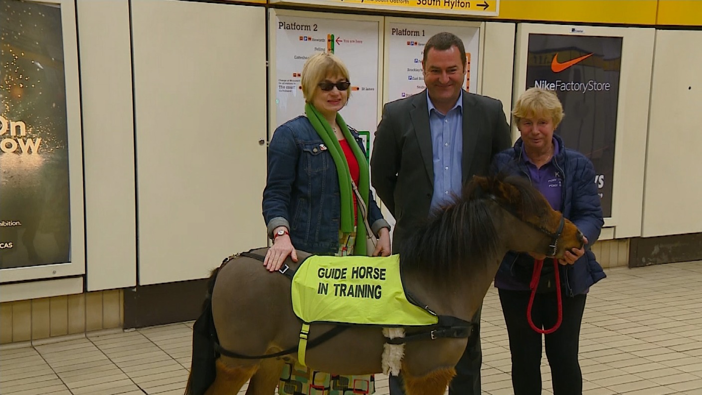 First guide horse for the blind comes to Britain | ITV News