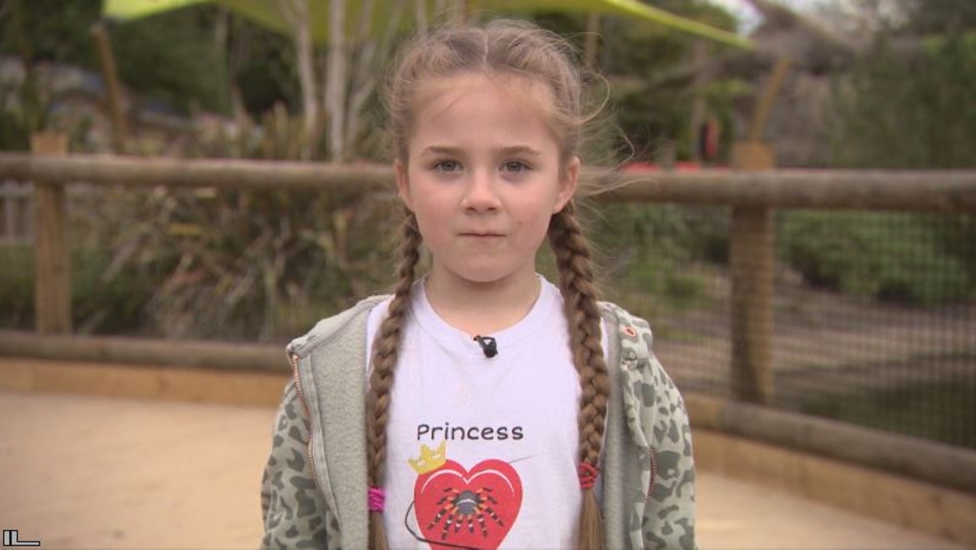 Hollie cant get enough of creepy-crawlies | ITV News Granada