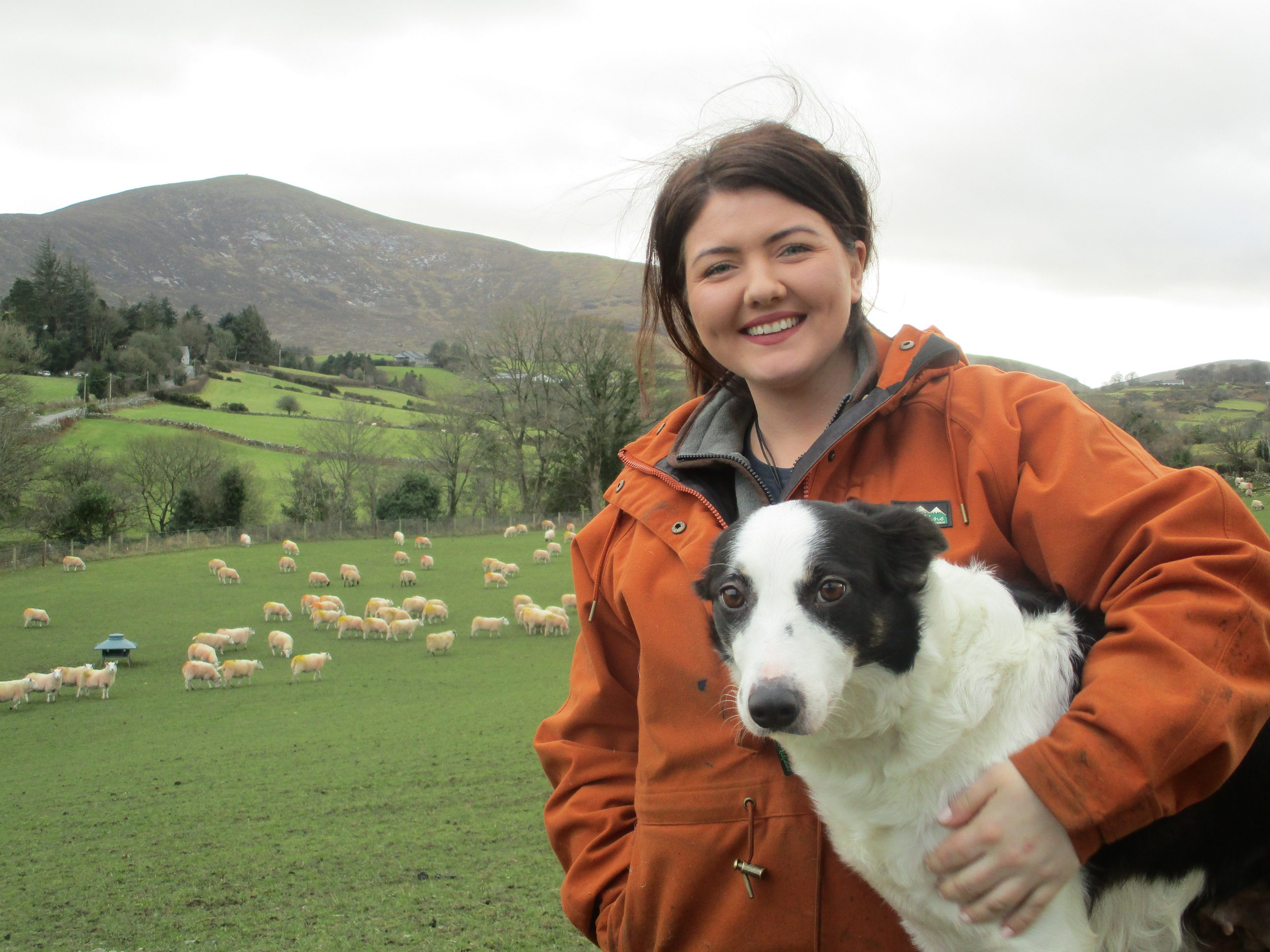 Northern Ireland farming show, 'Rare Breed' returns to UTV on Thursday ...