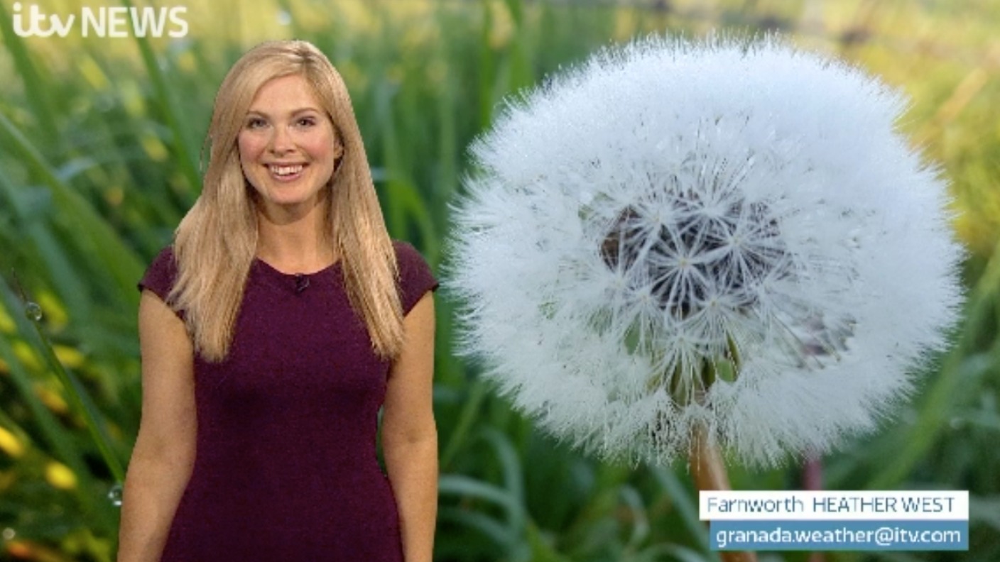 The pollen forecast for this weekend | ITV News Granada