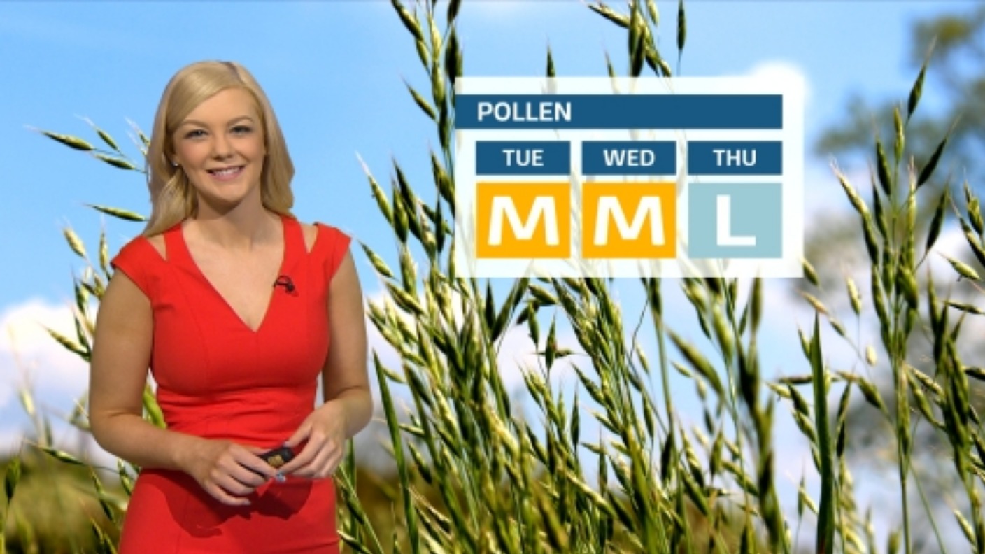 Pollen count: Moderate levels in the warm and sunny weather | ITV News ...