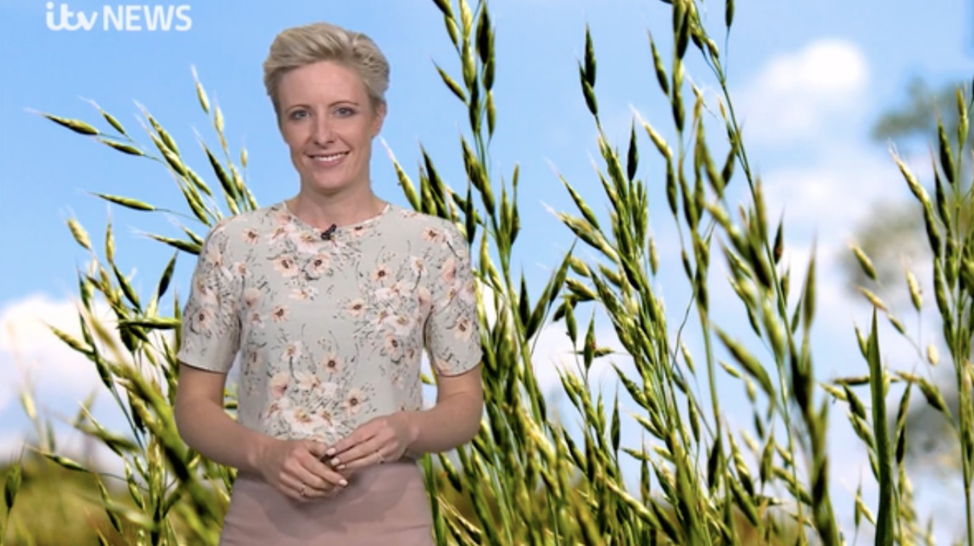 West Midlands Pollen: Moderate levels of grass and weed pollen. | ITV ...