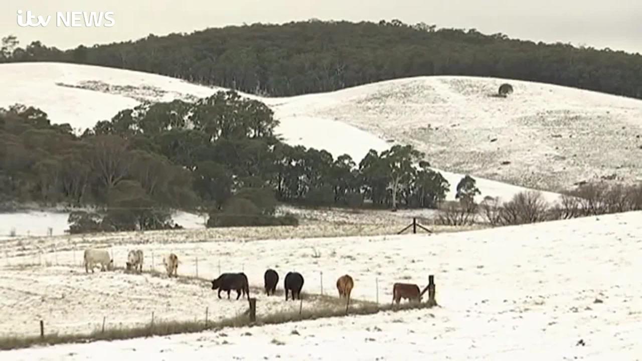 Snow falls in Australia's sunshine state of Queensland | ITV News