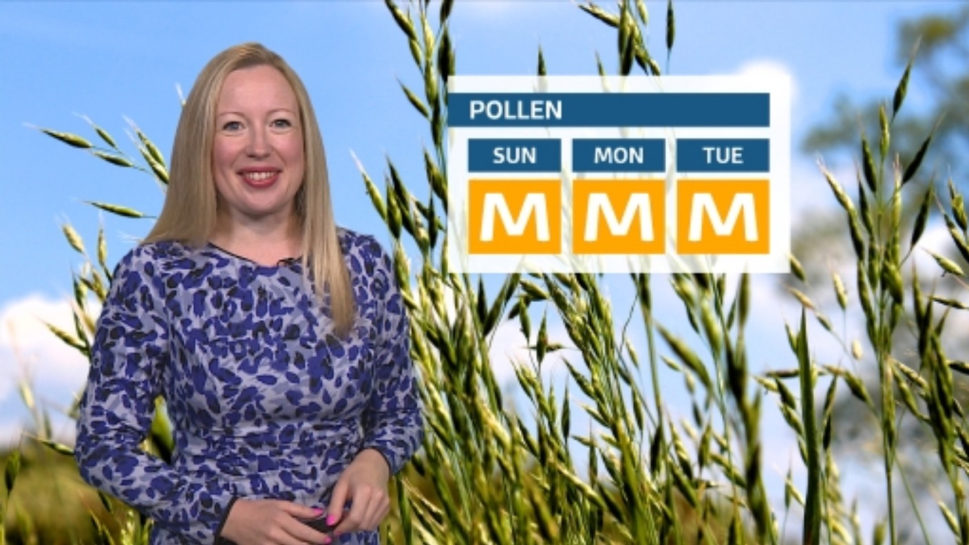 Moderate pollen levels | ITV News West Country