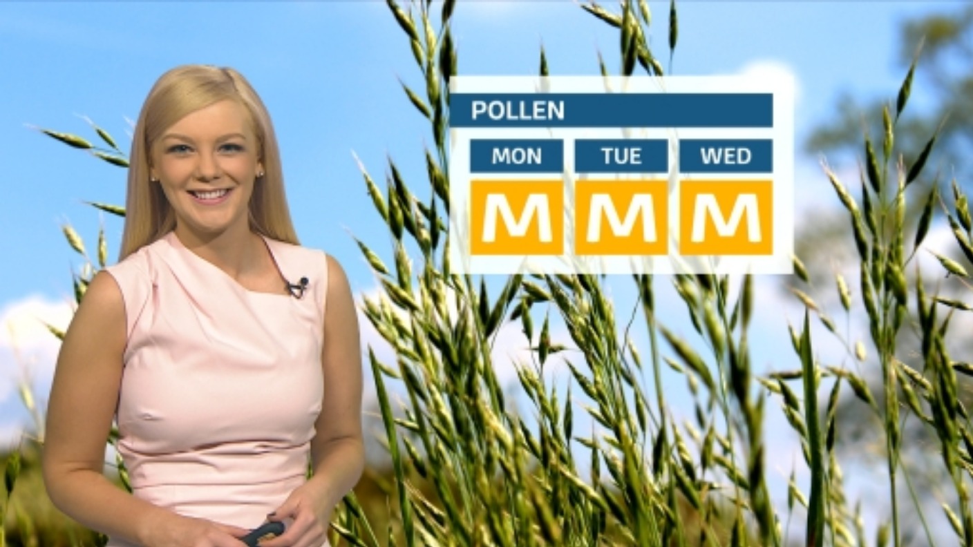 Pollen count: Moderate grass pollen levels for the next few days | ITV ...