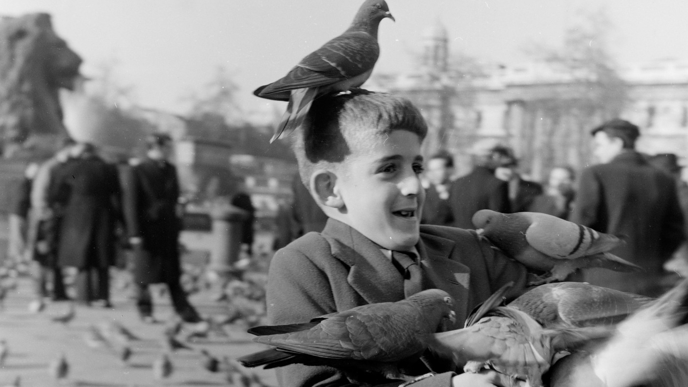 Museum of London opens archive to mark National Pigeon Day | ITV News ...