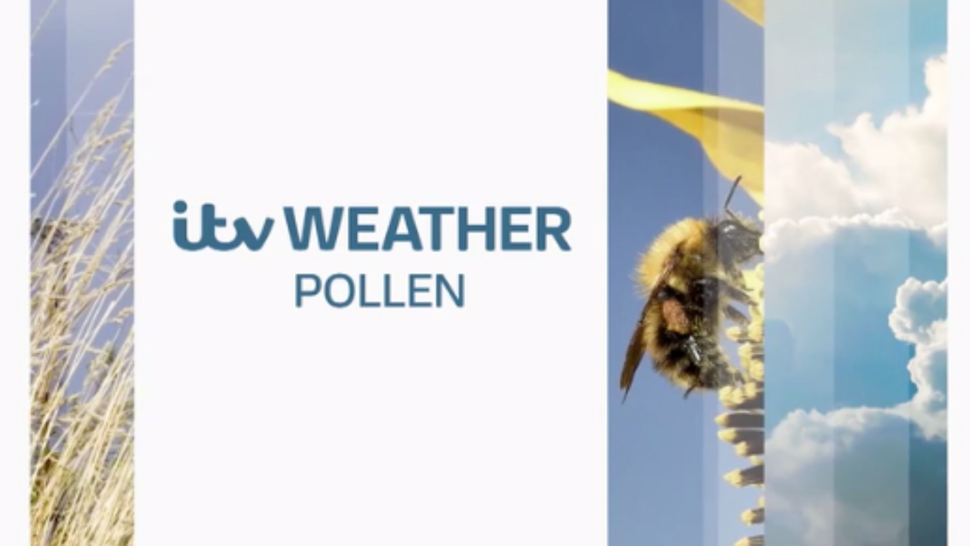 Latest pollen forecast | ITV News Meridian