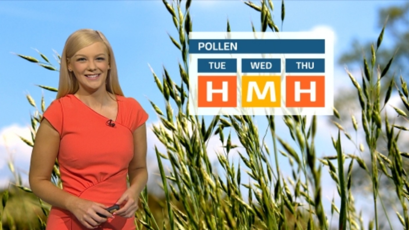 Pollen count: High levels could rise to very high in dry, sunny weather ...