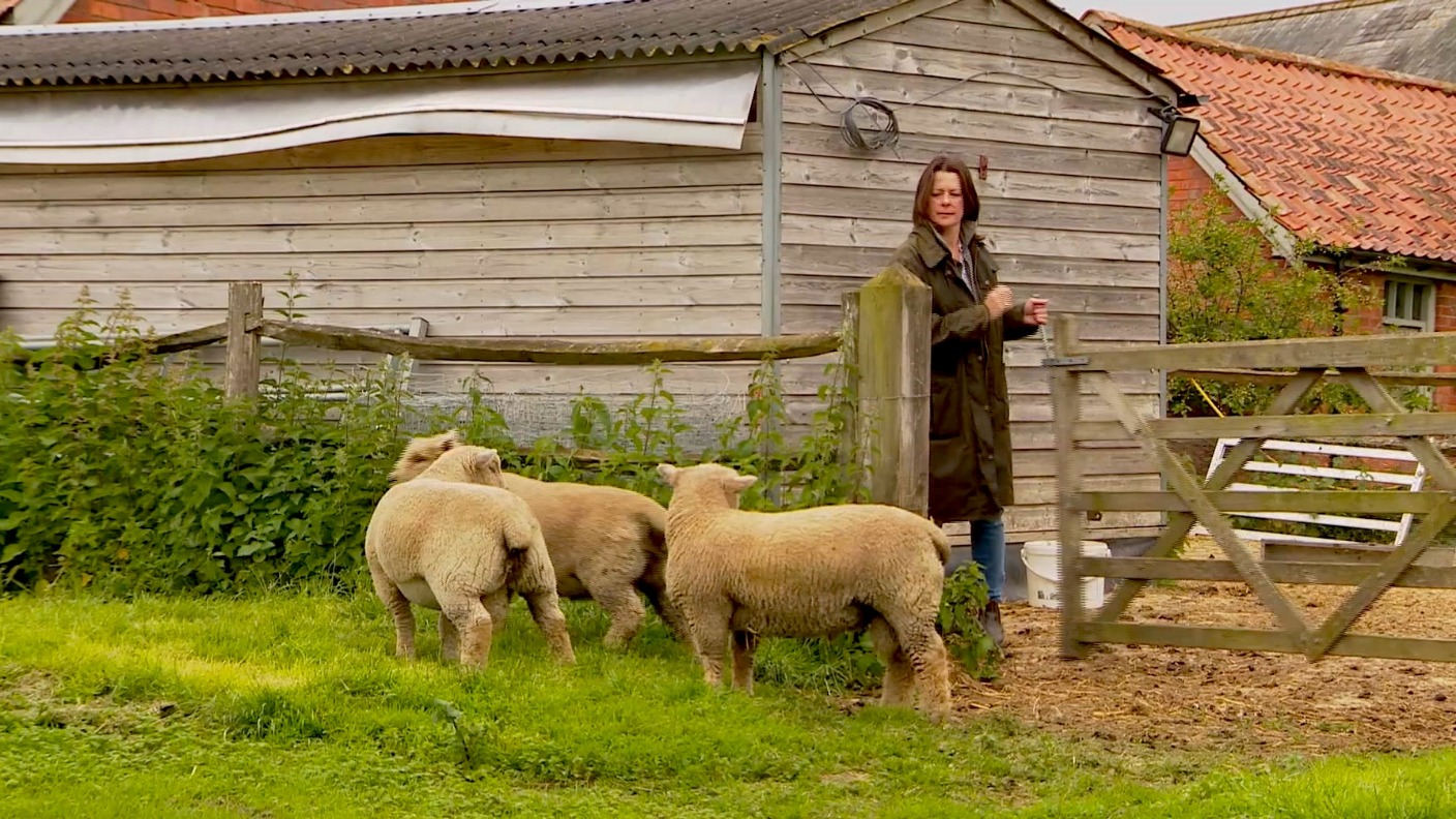 Rural bosses in Lincolnshire hoping to tackle gender stereotypes as ...