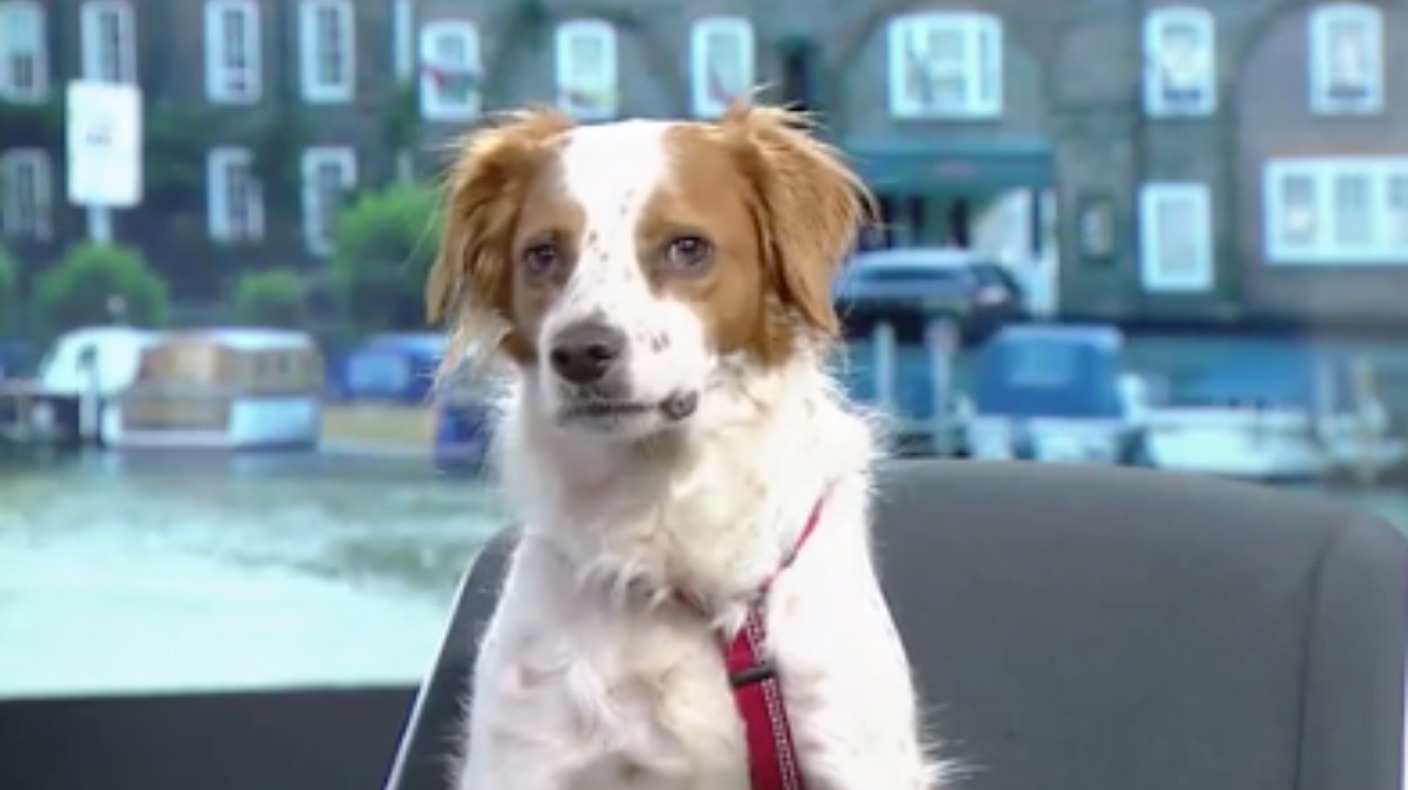 Woof woof! Here is the news with Luca... | ITV News Meridian