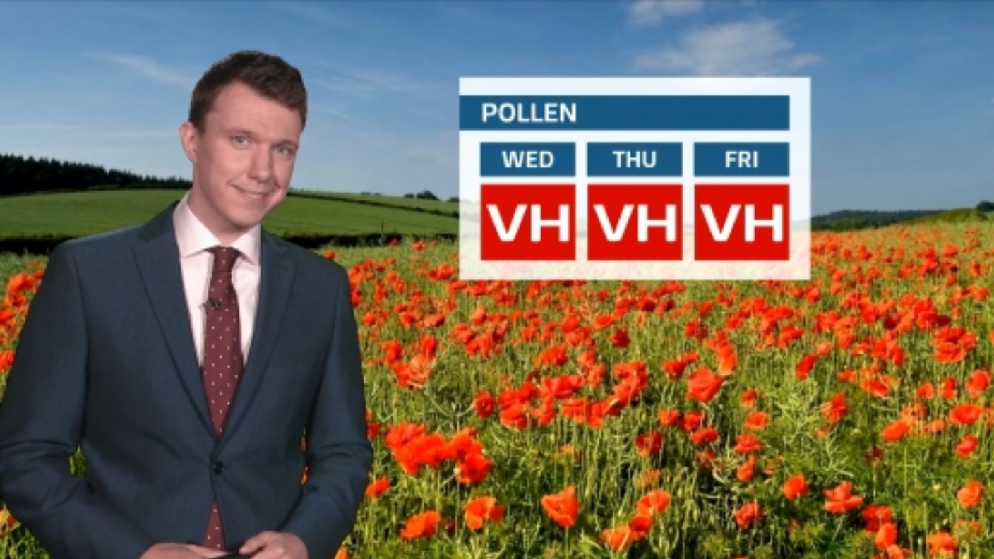 UK pollen count: The latest pollen levels in the South West | ITV News ...