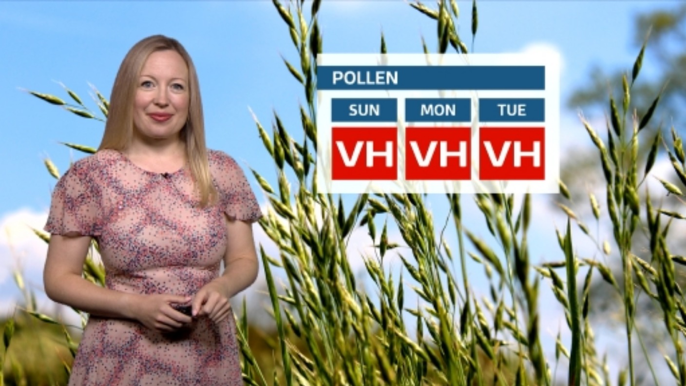 UK pollen count: The latest pollen levels in the South West | ITV News ...