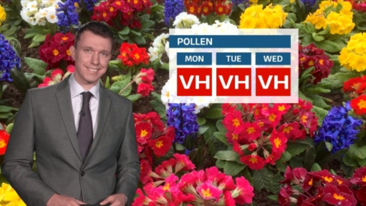 UK pollen count: The latest pollen levels in the South West | ITV News ...