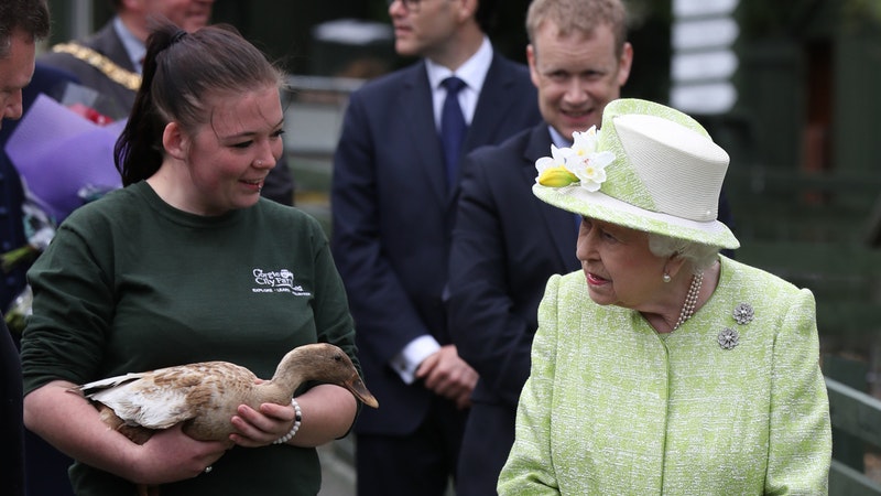 Queen is joined by 'cheeky duck who thinks she’s a human' during ...