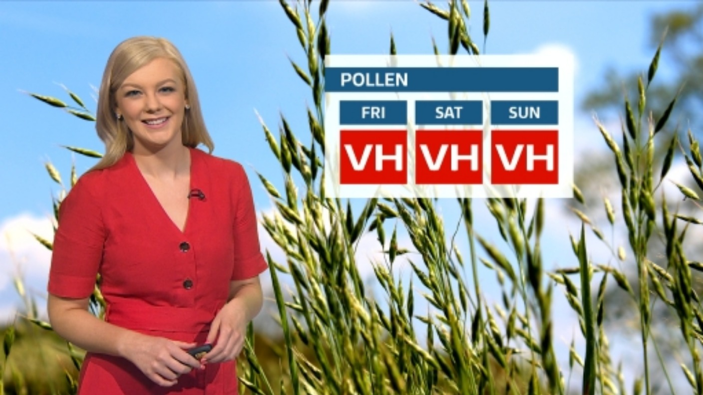 Pollen count: Very high grass pollen levels in the dry and warm weather ...