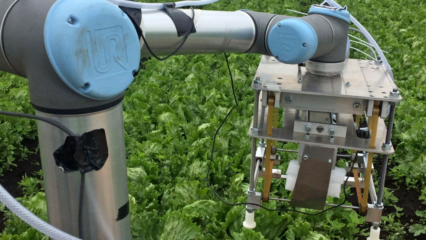 'Vegebot' developed by Cambridge engineers could help labour shortage ...