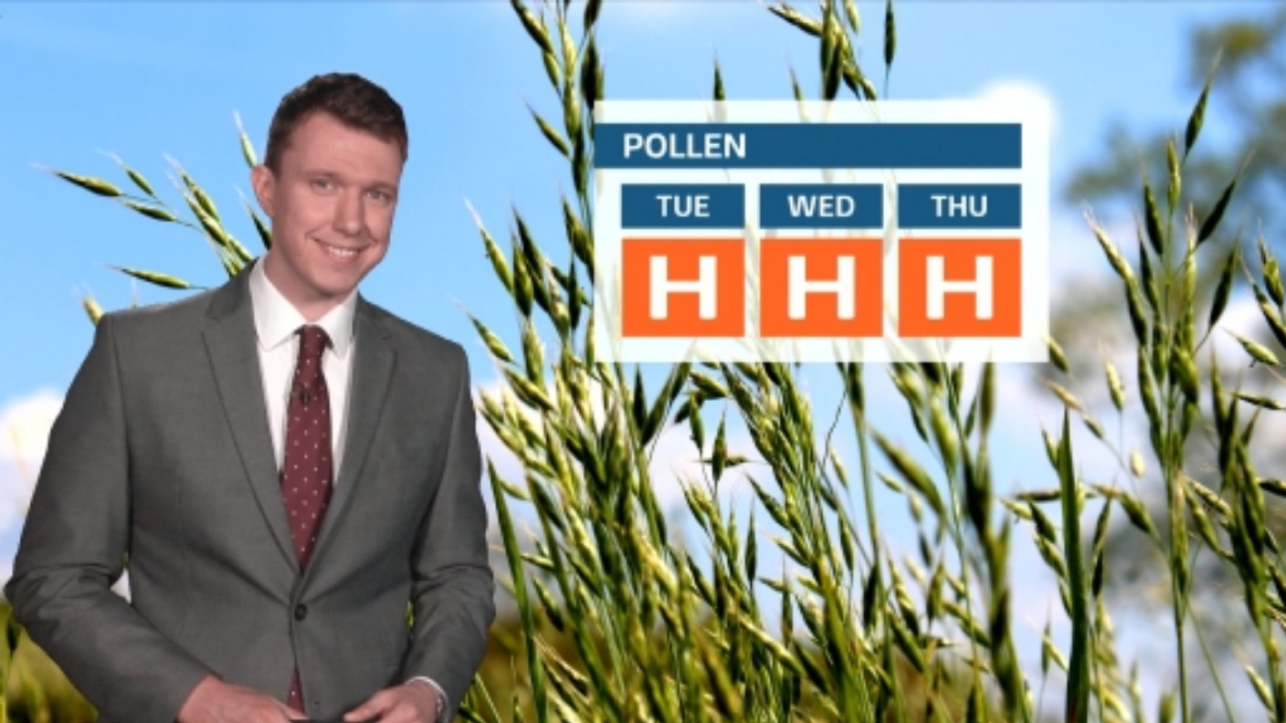 UK pollen count: The latest pollen levels in the South West | ITV News ...