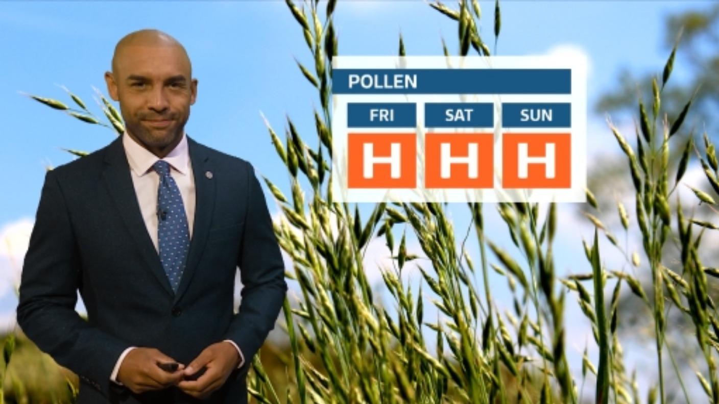 UK pollen count: The latest pollen levels in the South West | ITV News ...