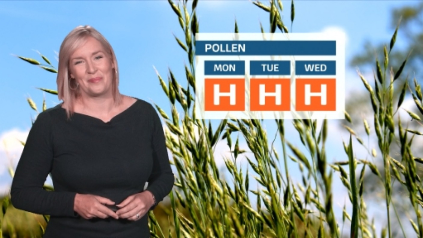 Pollen forecast for the South West | ITV News West Country