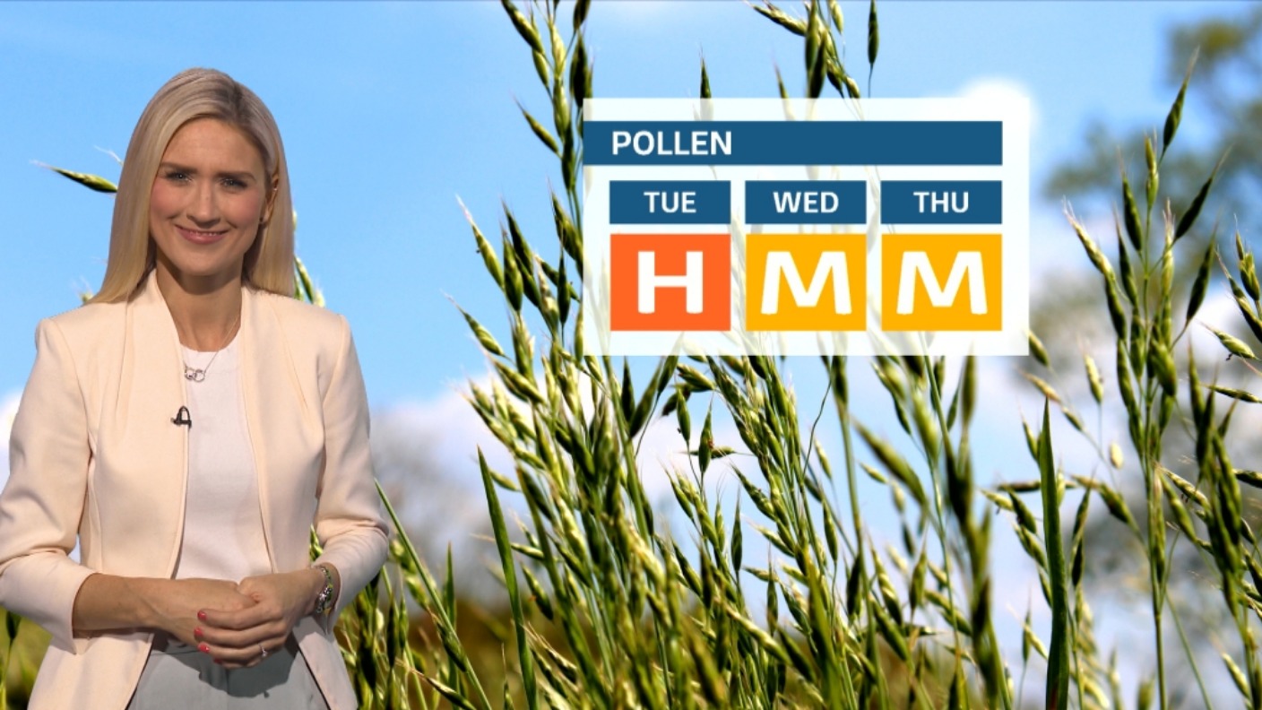 Pollen Count: High levels persist | UTV | ITV News