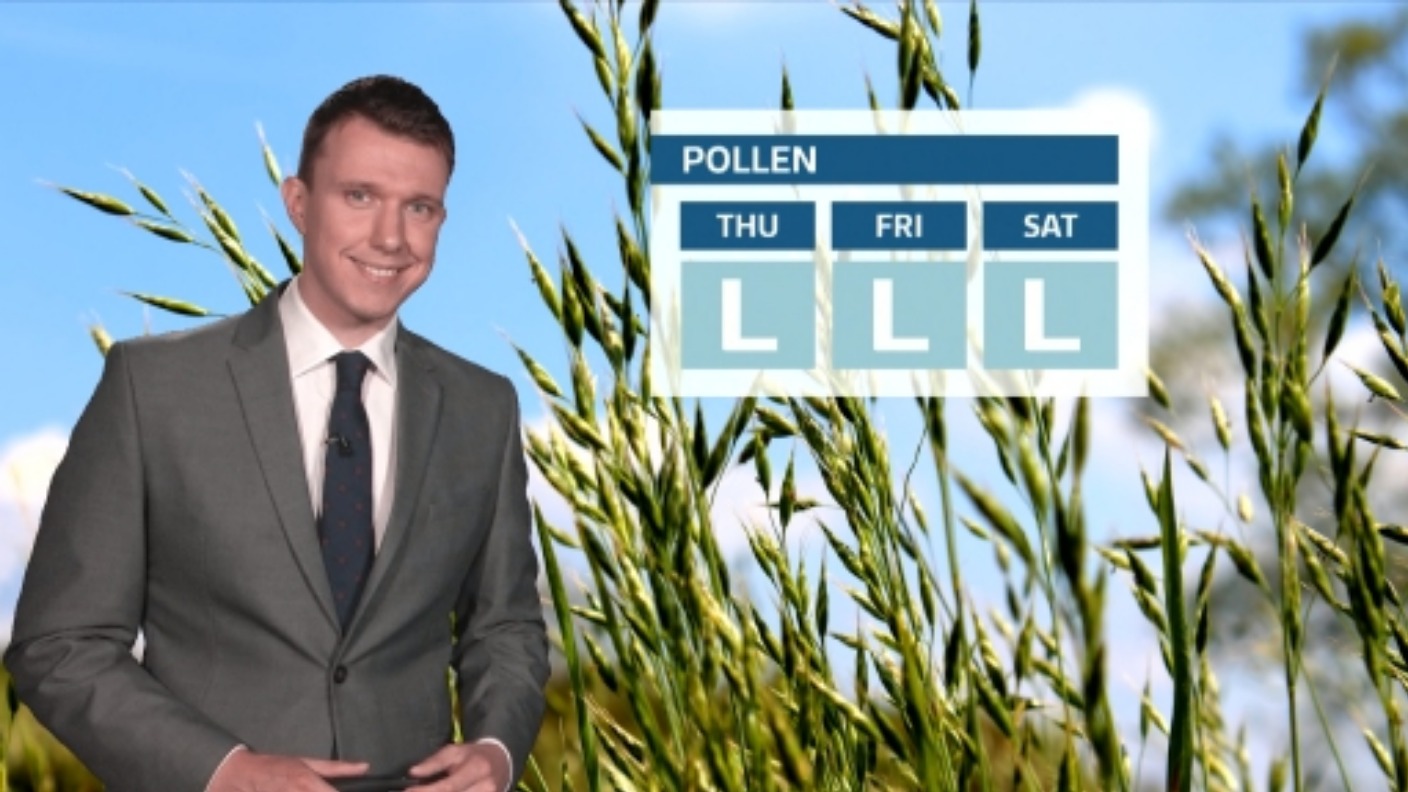 Pollen forecast for the South West | ITV News West Country