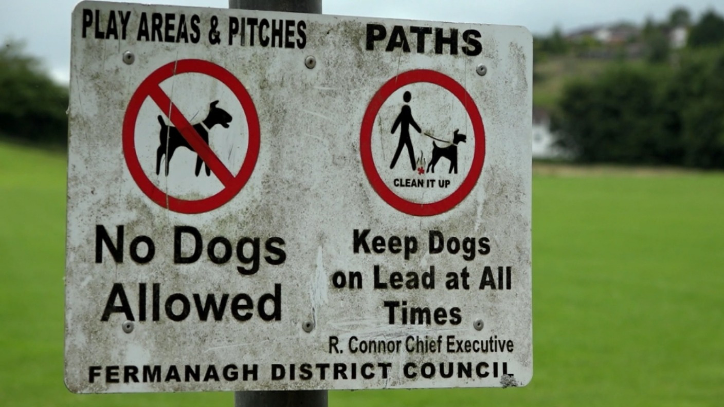 Hundreds sign petition over dog ‘exclusion zone’ plans | UTV | ITV News