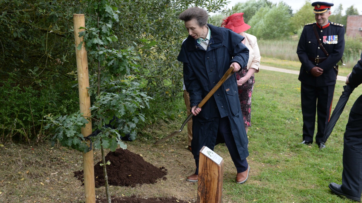 Tree planted by Princess Anne stolen after just two days | ITV News Anglia