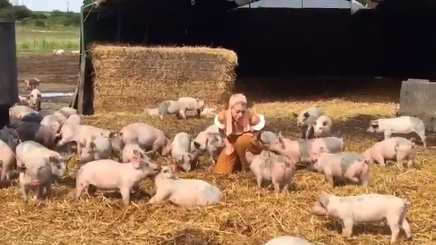 Soprano serenades pigs with opera performance at Norfolk farm | ITV ...