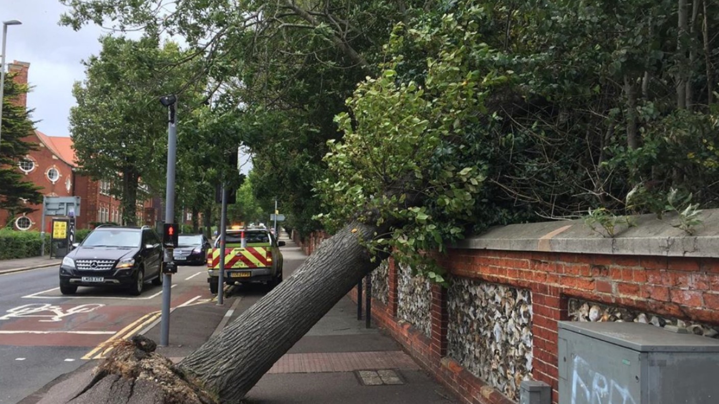 Windy weather batters much of the region | ITV News Meridian