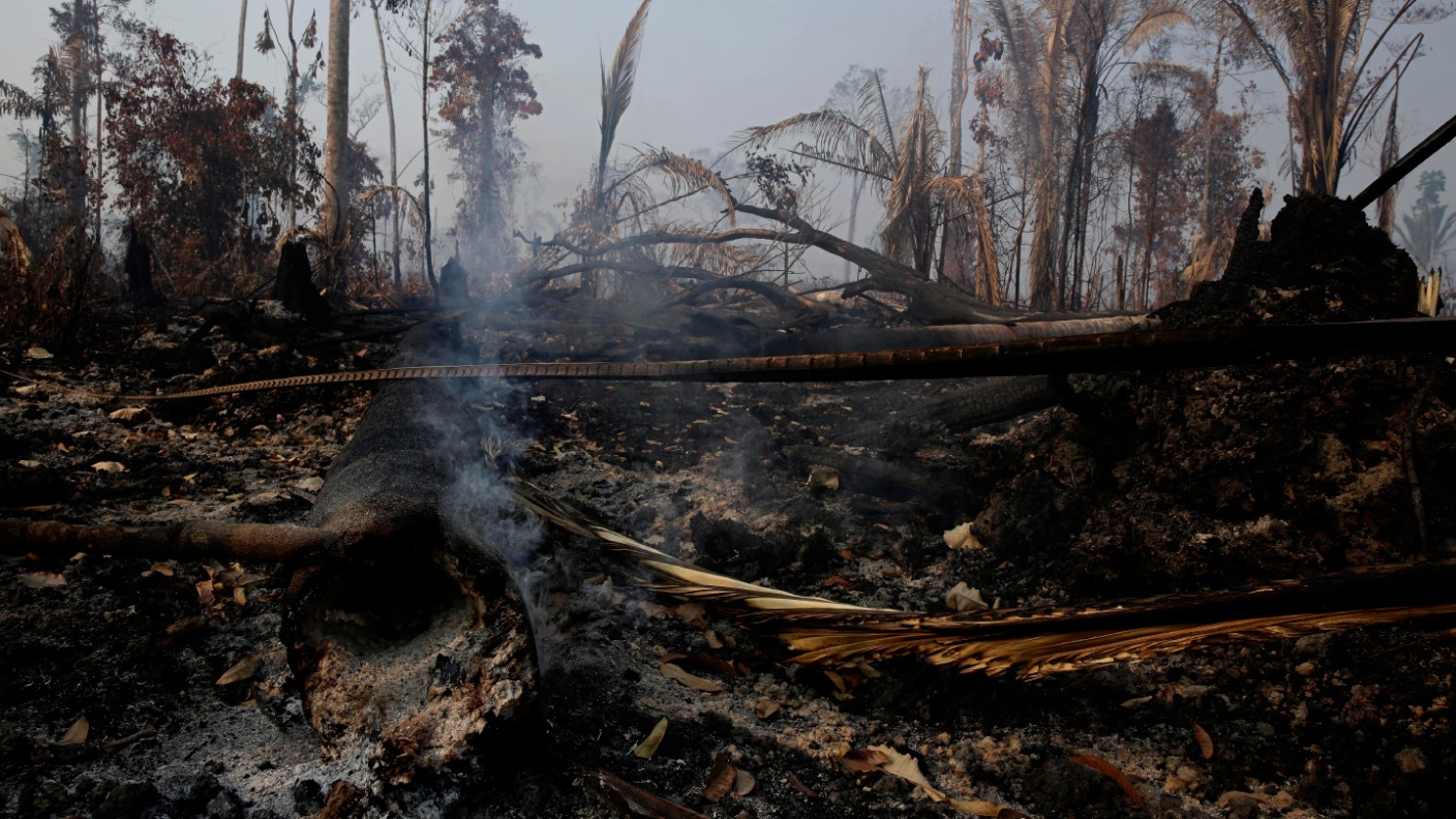 Why the battle to save the Amazon is the world's most dangerous war ...