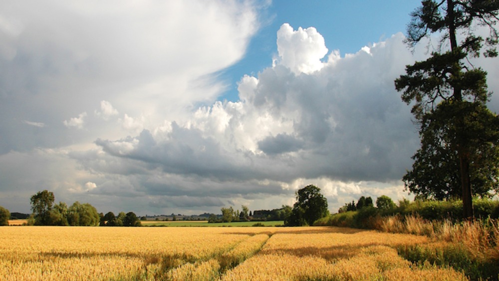 Changeable, warm, and showery weather forecast for the next few days ...