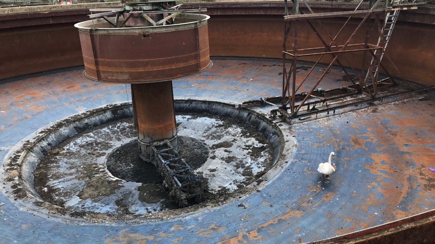 Feathers ruffled as swan rescued from sewage tank | ITV News Meridian