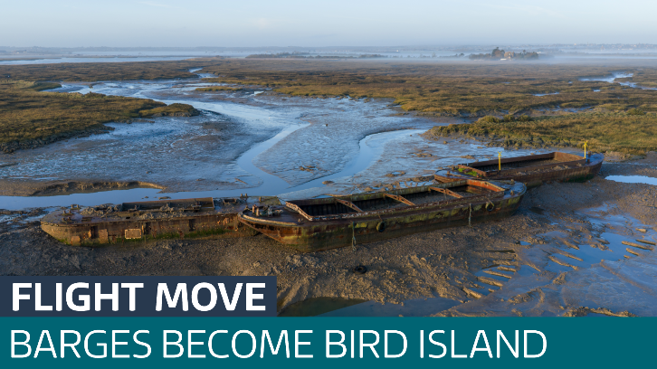 National Trust creates 'bird island' from three sunken barges in the ...