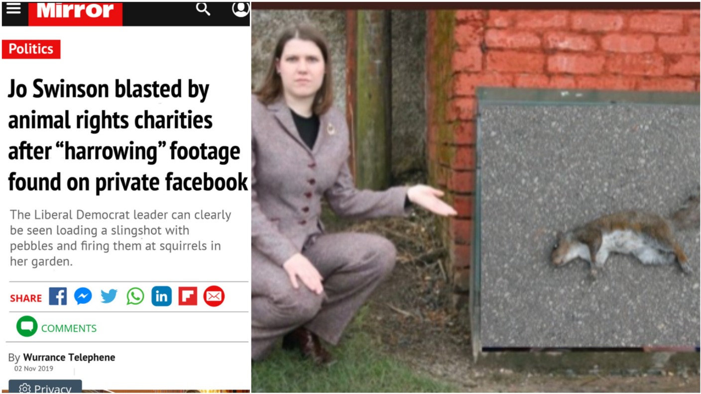 Lib Dem leader warns against 'fake news' after false squirrel story ...