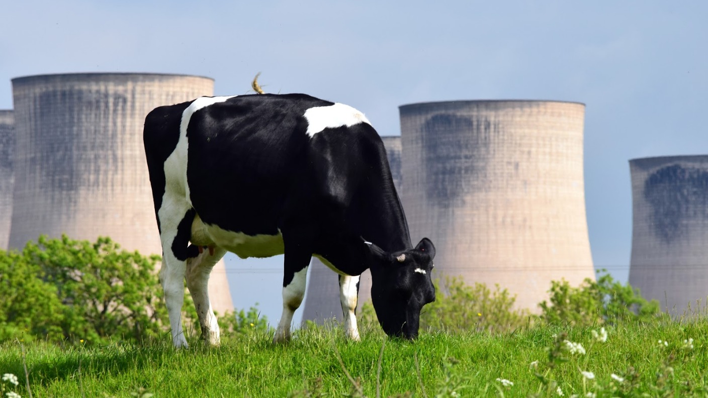Norwich teenager's poignant cow image wins RSPCA photography award ...