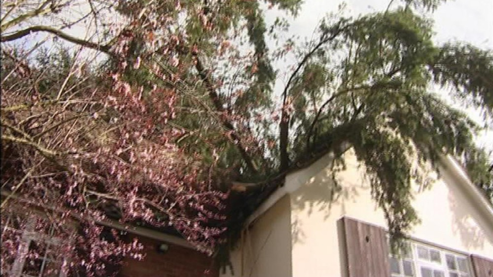 What to do in severe windy weather | ITV News Anglia
