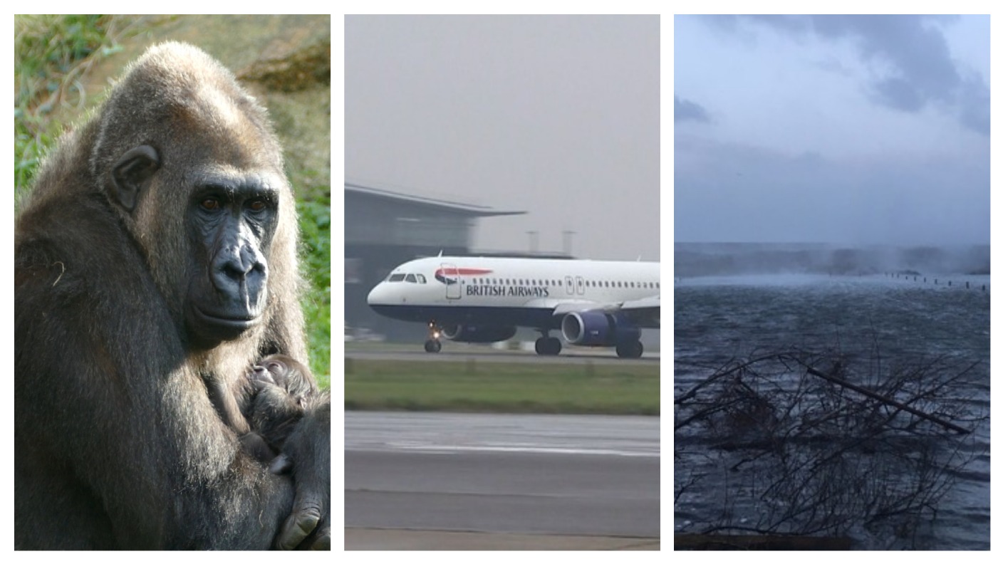 Storm Ciara: Zoo closed, travel cancellations and flood warnings across ...