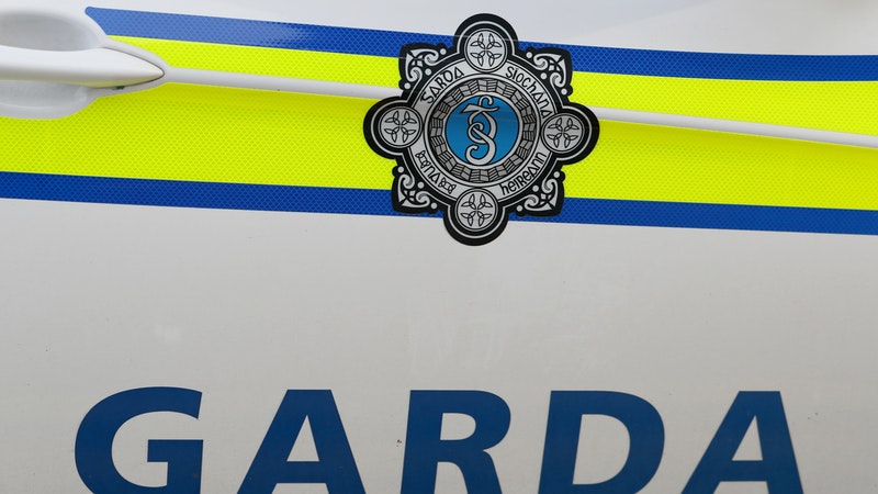More than 300 trainee police to graduate early to boost Garda numbers ...