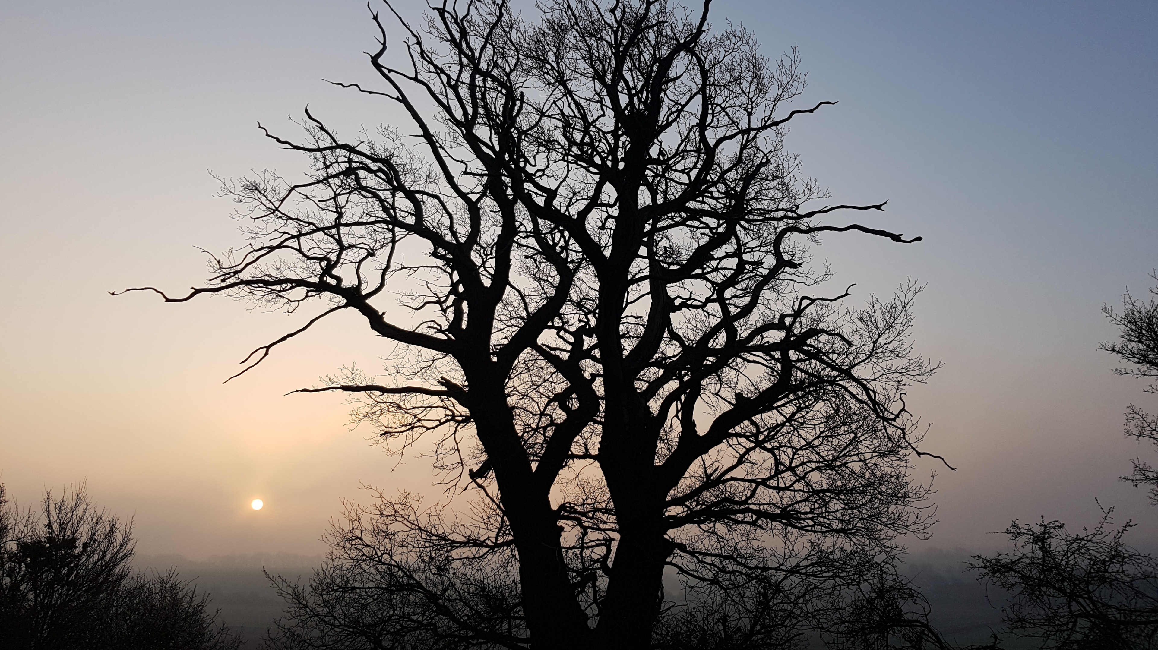 Anglia Weather: Dry and cold overnight. A windy weekend with few ...