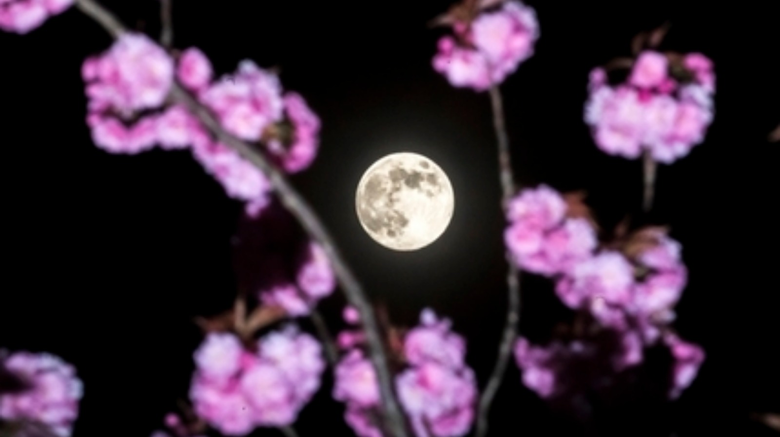 Super "Pink Moon" tonight! Here's all you need to know | ITV News Channel