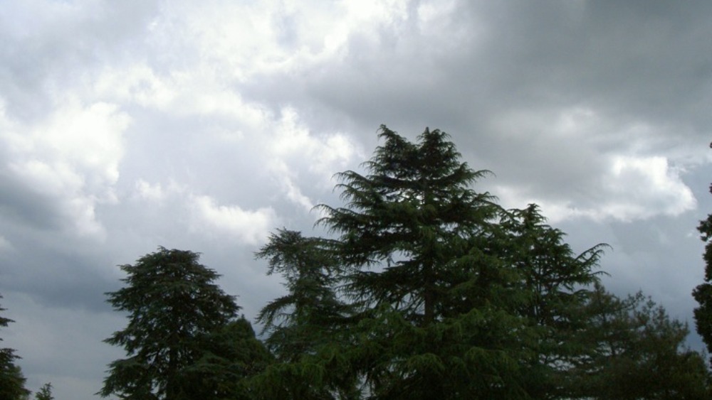 Central weather: Very windy, cloudy, and cold | ITV News Central