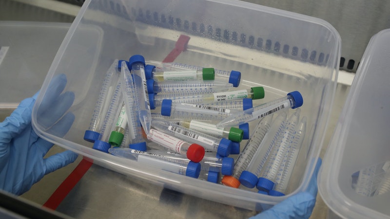 New test being developed to measure Covid-19 infection levels | ITV News