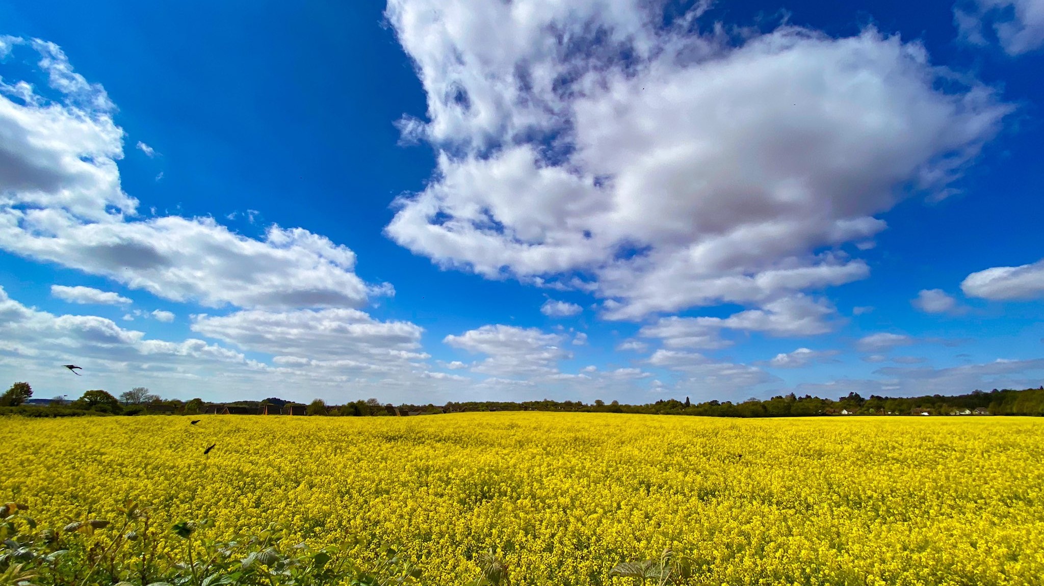 Anglia Weather: Dry with sunny spells and feeling warm. Isolated ...