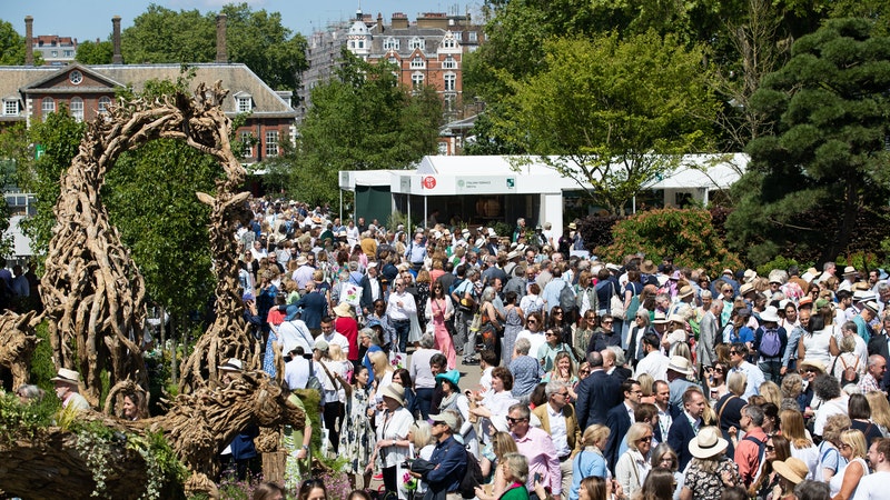 Benefits of gardens highlighted as ‘virtual’ Chelsea Flower Show begins ...