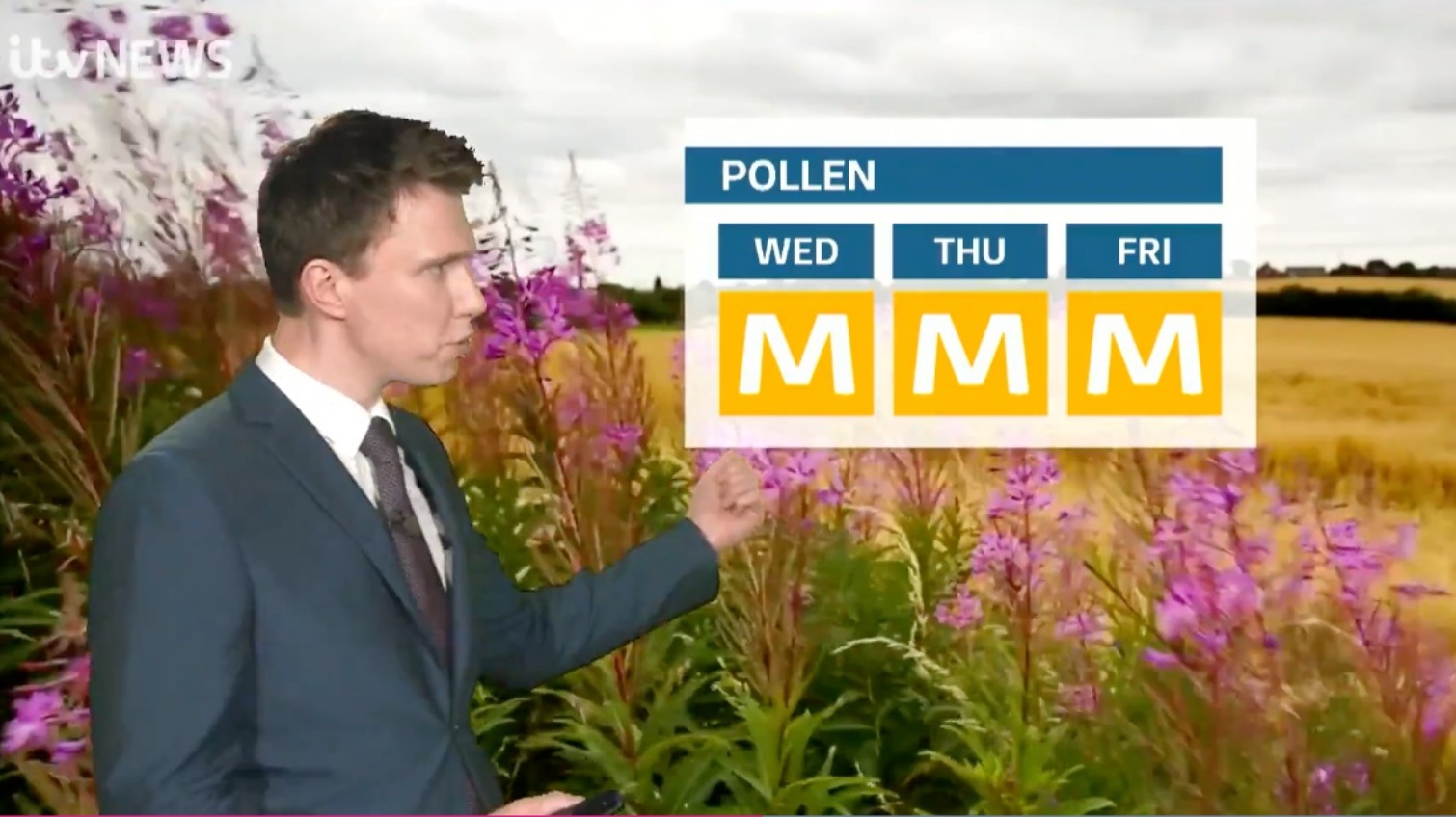 UK weather forecast: Moderate grass pollen for the next few days across ...